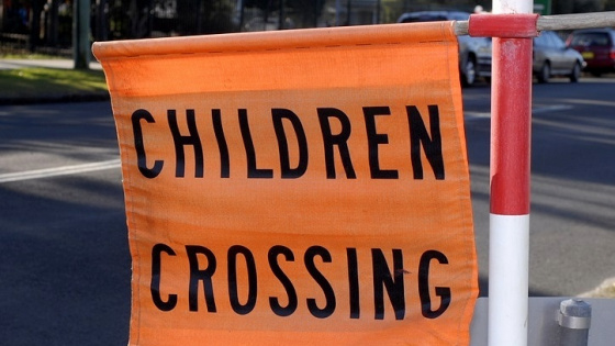Tarcoma Avenue Emu Crossing | The Parade