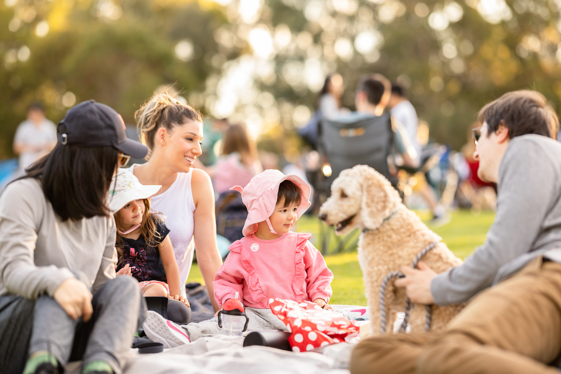 Poolside cinema at Norwood Swimming Centre | The Parade